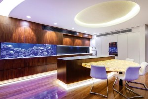 5 factors set to define the kitchen of the future - Completehome